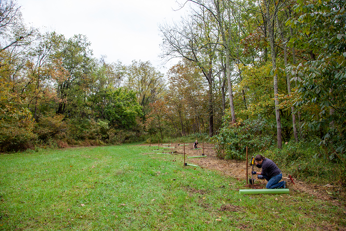 Bonny Brook Tree Planting – The Piedmont Environmental Council