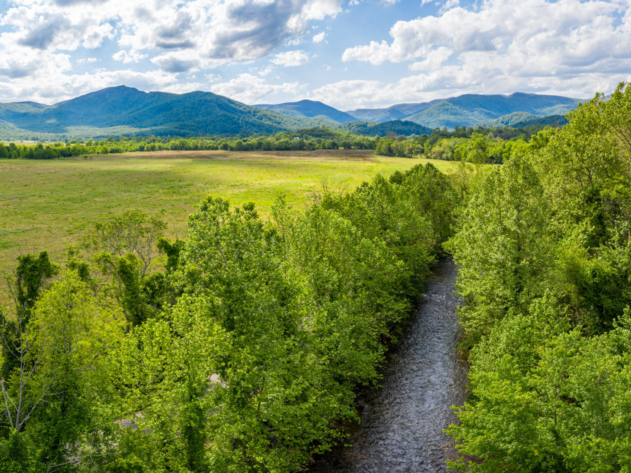 Why Riparian Buffers? – The Piedmont Environmental Council