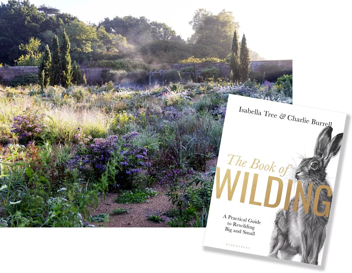 The Book of Wilding—a Practical Guide to Rewilding Big and Small with Isabella Tree - The ...