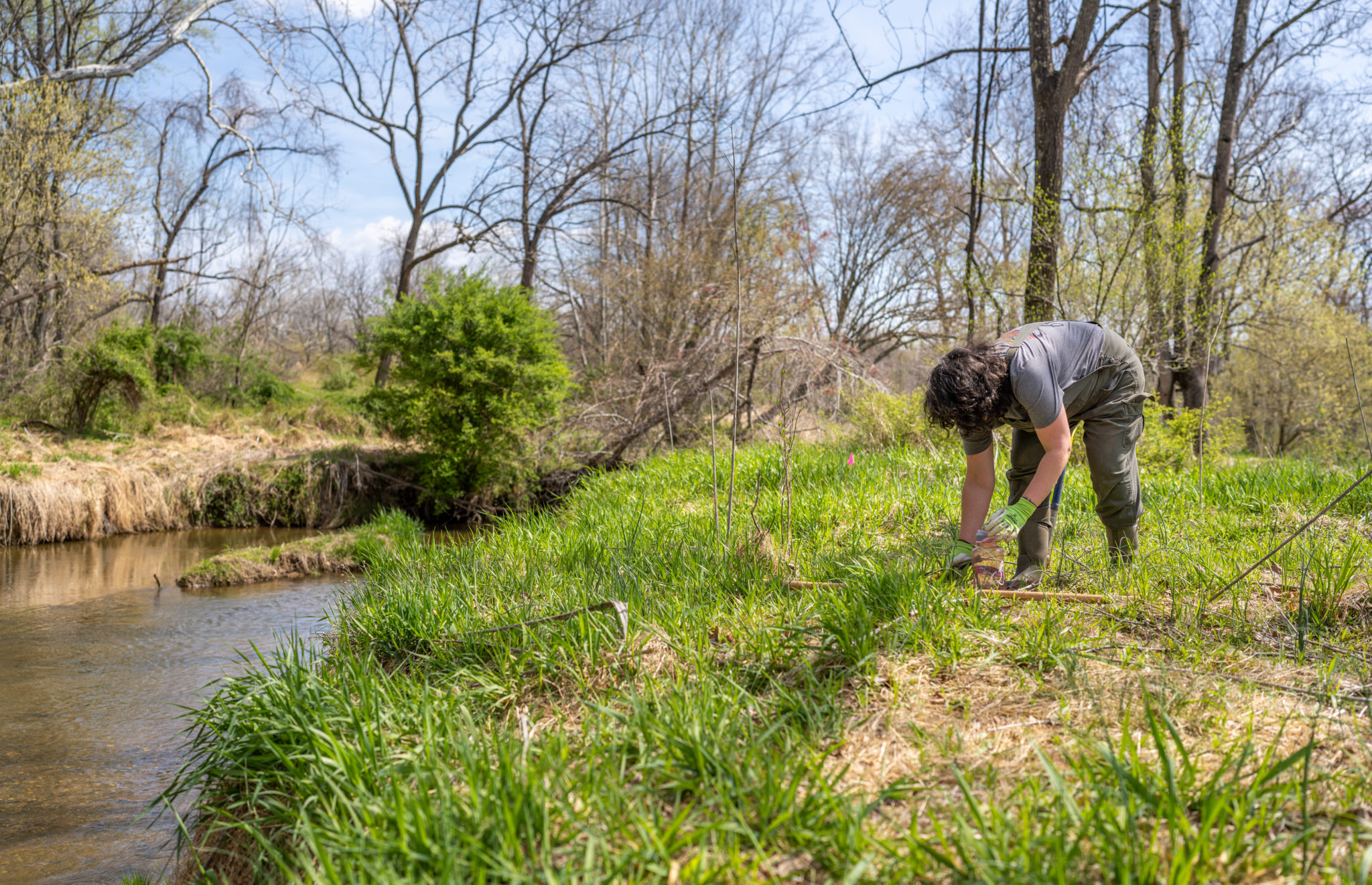 Spring 2023 Tree Planting Opportunities – The Piedmont Environmental Council