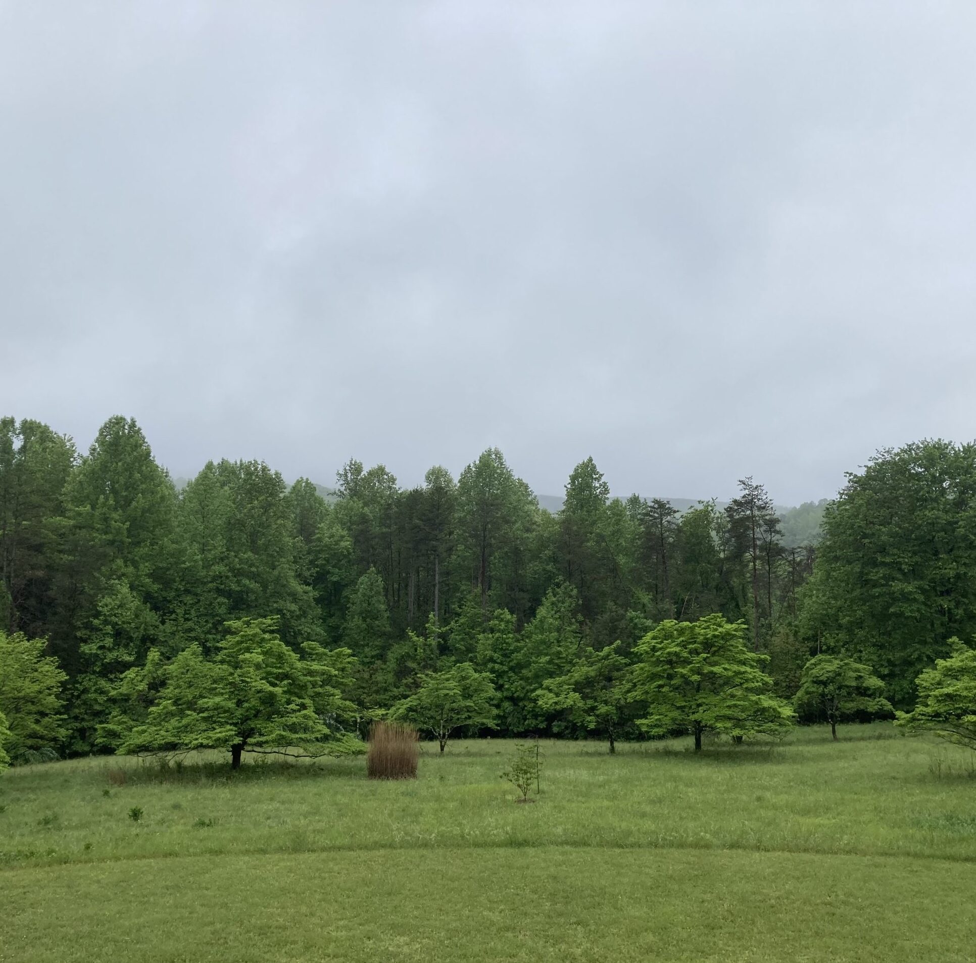 ACE Landowner Stories – The Piedmont Environmental Council