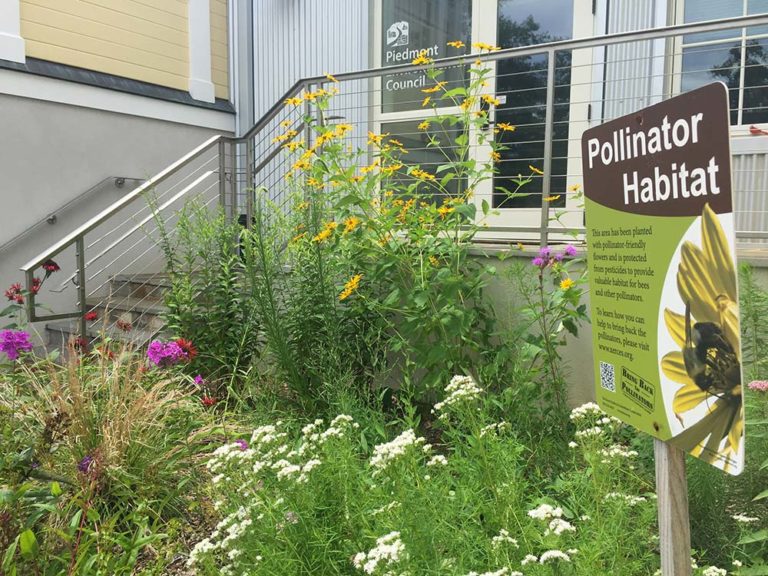 Creating Habitat for Native Bees – The Piedmont Environmental Council