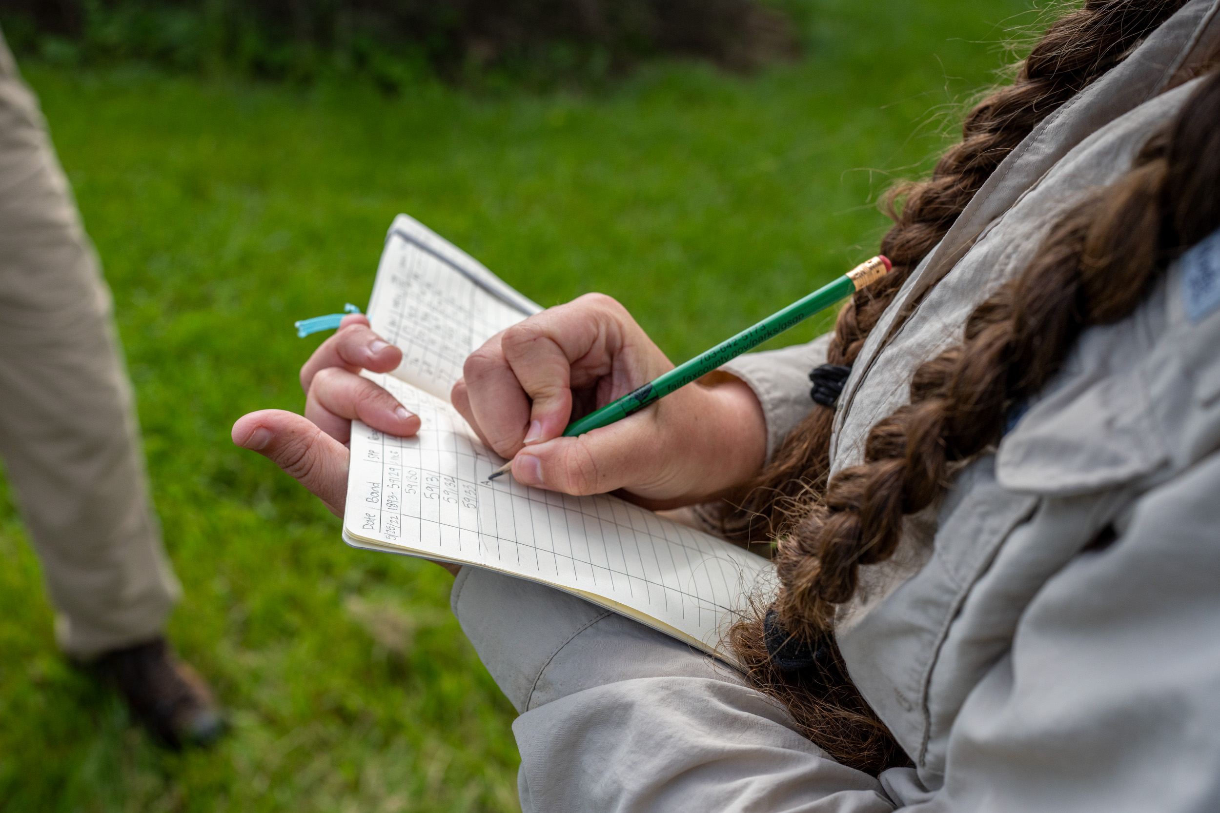 Video: Kestrel Banding with October Greenfield – The Piedmont ...