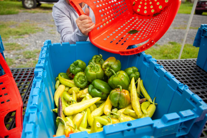 Farming for the Future – The Piedmont Environmental Council