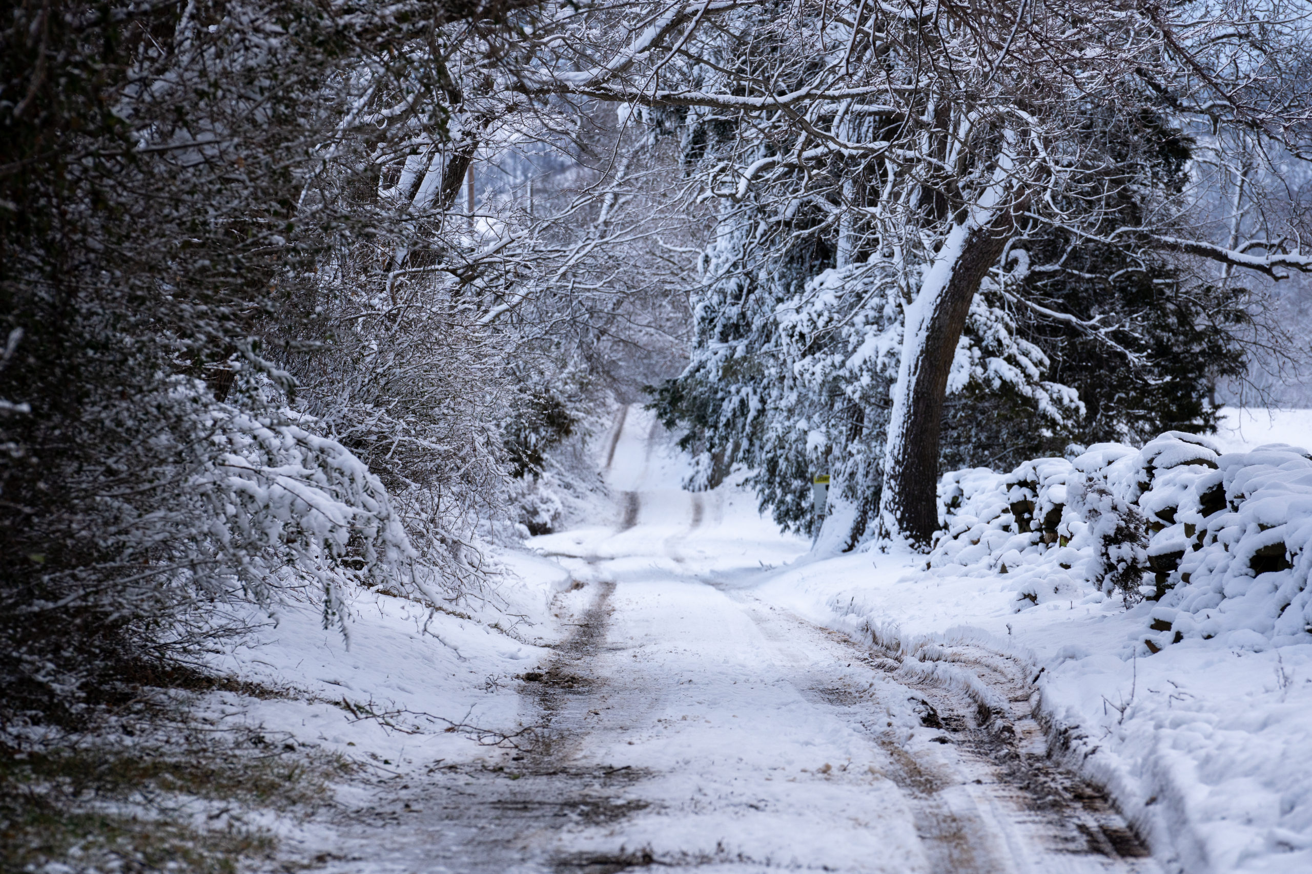 Meet PEC: Winter 2021 - The Piedmont Environmental Council